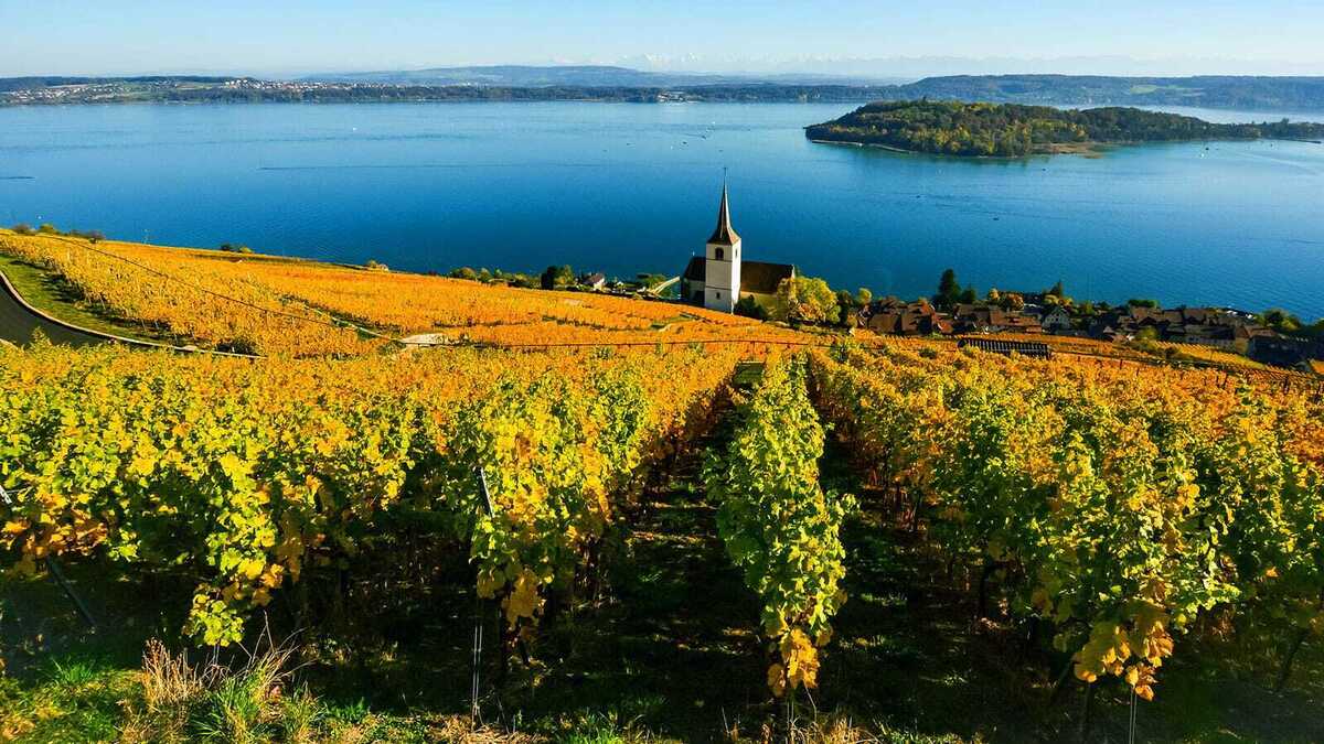 Ferienhäuser & Ferienwohnungen im Schweizer Mittelland (Schweiz) bei ...